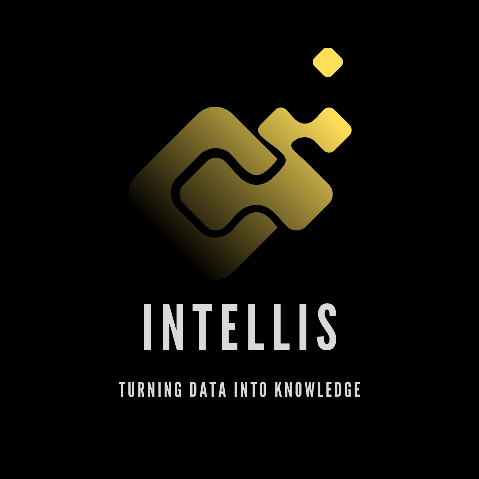 PORTFOLIO - Intellis Solutions